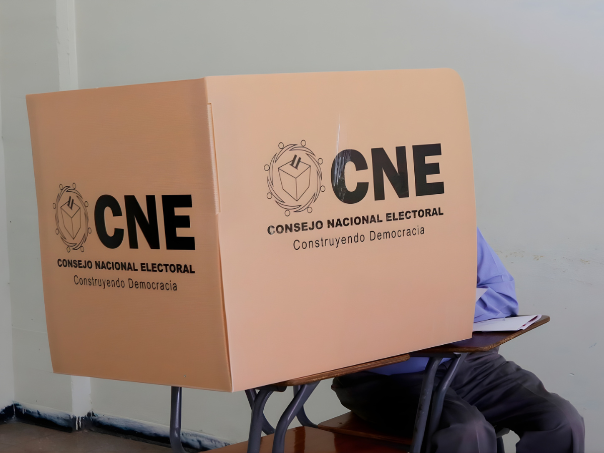 Cuestionan que CNE lleva varios días con resultados "congelados"